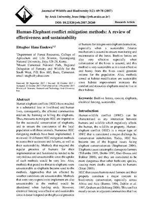 Competitive Performance of Easy Jet Airlines - Financial and Operative ...
