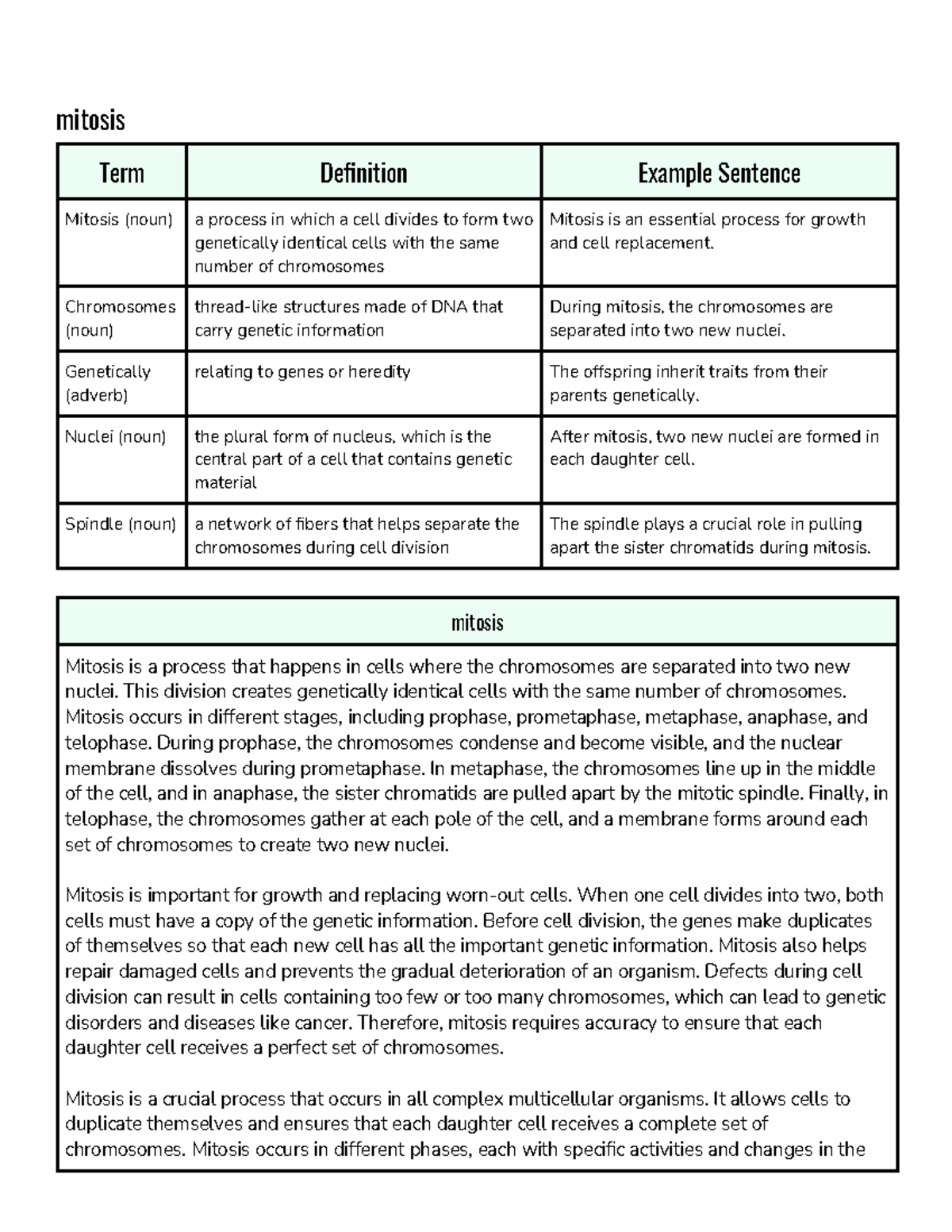 Mitosis- by Diffit (printable) - mitosis Term Definition Example ...