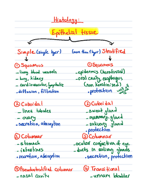 ISA 750101 flow equ for sizing control valves - STANDARD ISA-75.01 ...