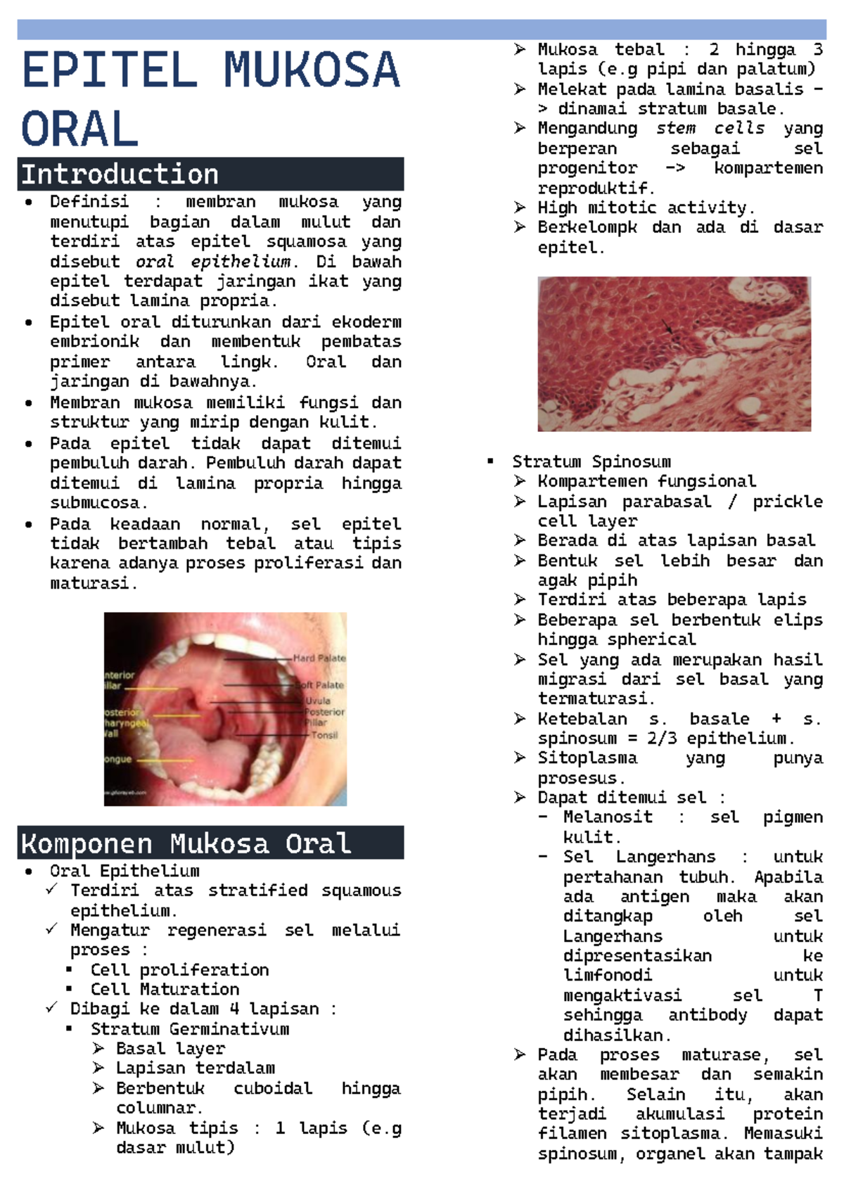Mukosa Oral: Histologi dan Komponen Epitel (EP 101) - Studocu
