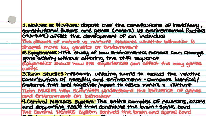 Unit 1: Brain Vocabulary - Nature vs Nurture & Nervous System Concepts ...
