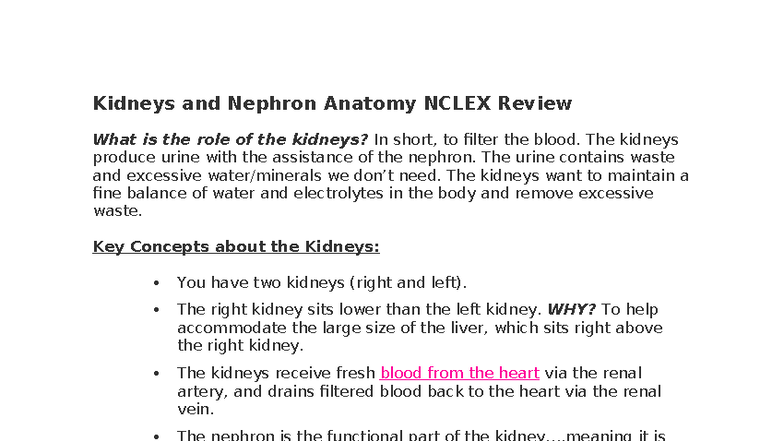 Kidneys and Nephron Anatomy NCLEX Review Notes - Studocu