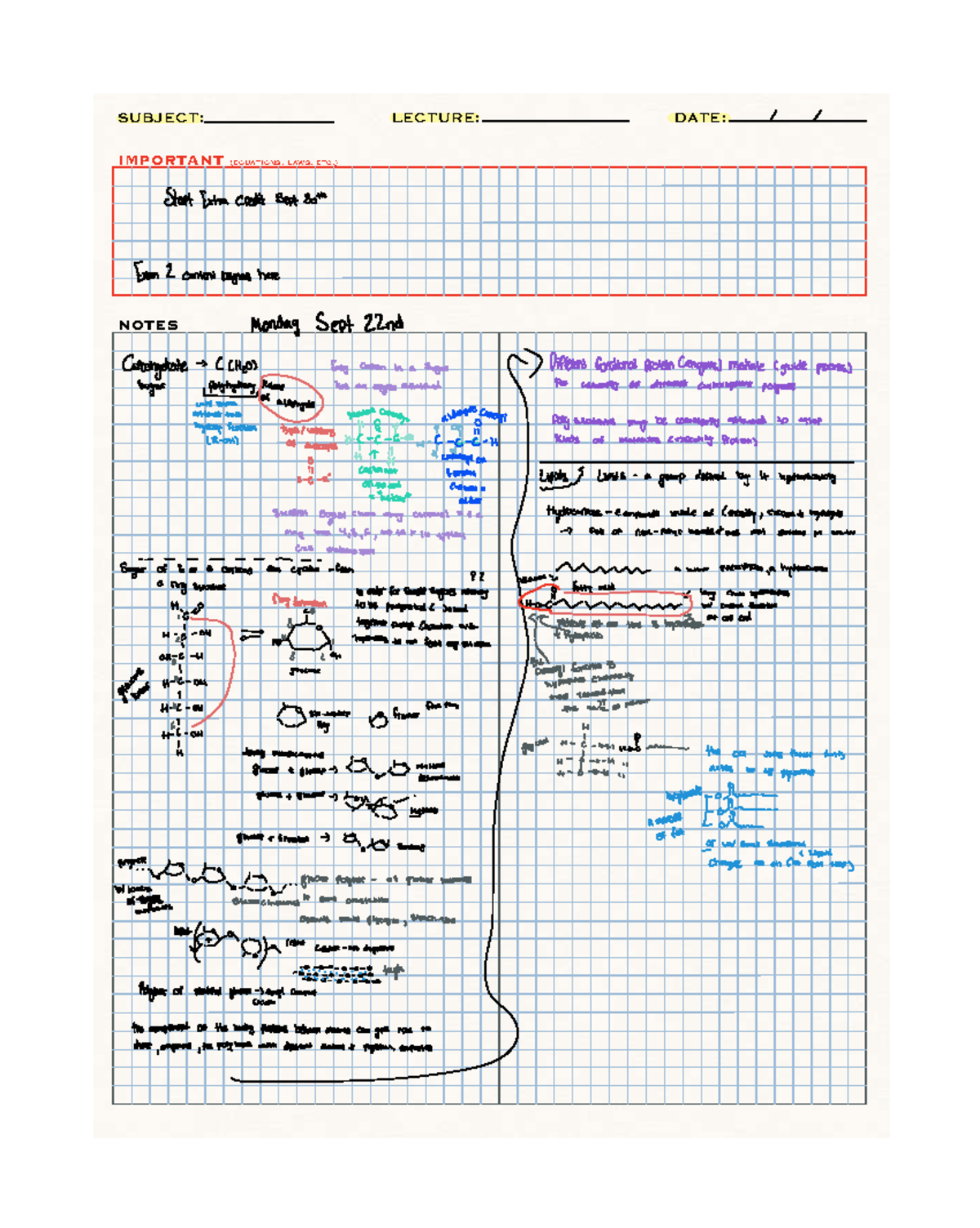 Biochemistry Lecture Notes: Protein Structure & Polymers (Lecture ...