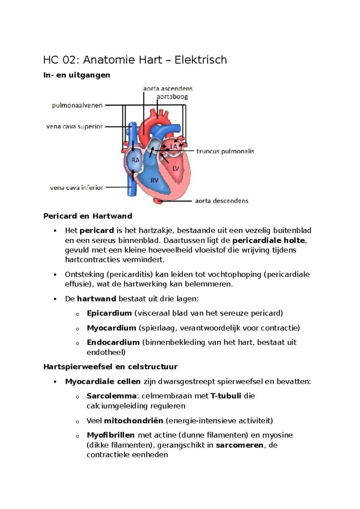 HC 02: Anatomie van het Hart en Elektrische Geleiding in het Pericard ...