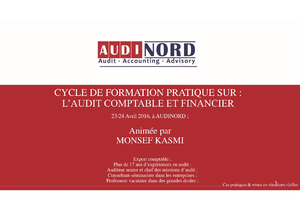 Guide de Procédures D’Audit par Cycles et par Assertion - Angélique ...