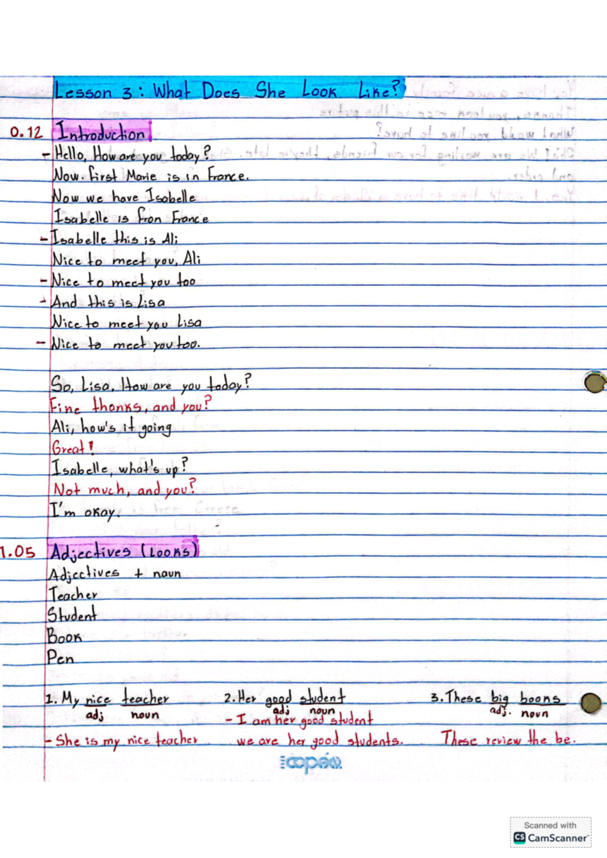 Lesson 3: Describing People - What Do They Look Like? - Studocu