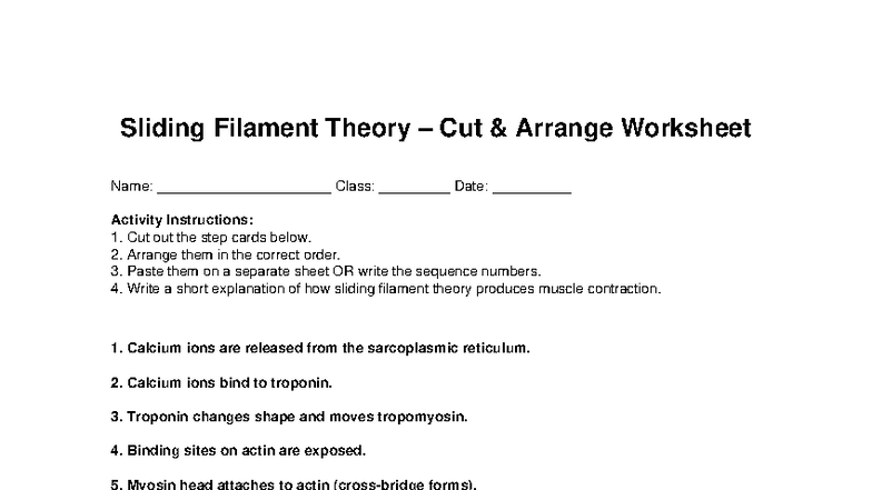Sliding Filament Theory Worksheet: Muscle Contraction Steps - Studocu