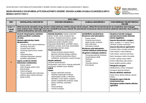 [Solved] Lesson plan grade R the theme seasons Exploring summer 1 ...