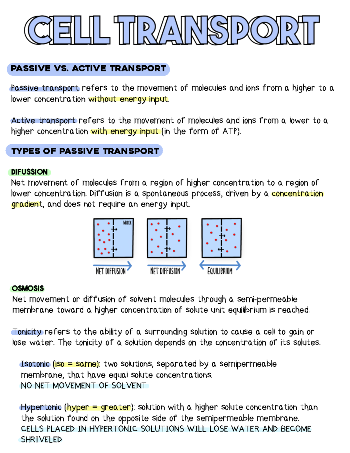 STEMthusiast - Cell Transport - Passive vs. Active transport Passive ...