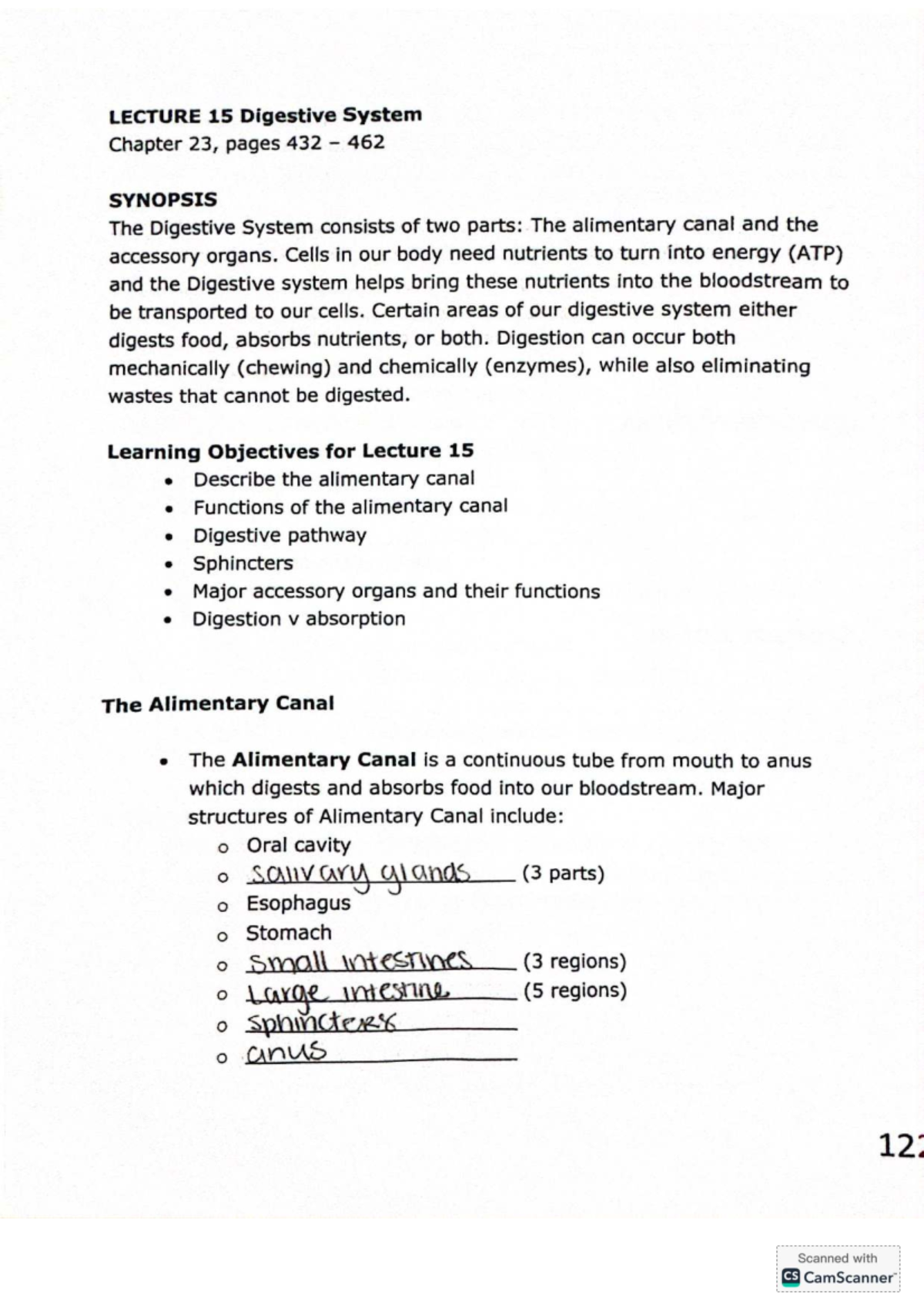 LECTURE 15 Digestive System Overview and Key Concepts - Studocu