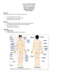 Human Anatomy and Physiology with Pathophysiology - HAPP 111 - OLFU ...