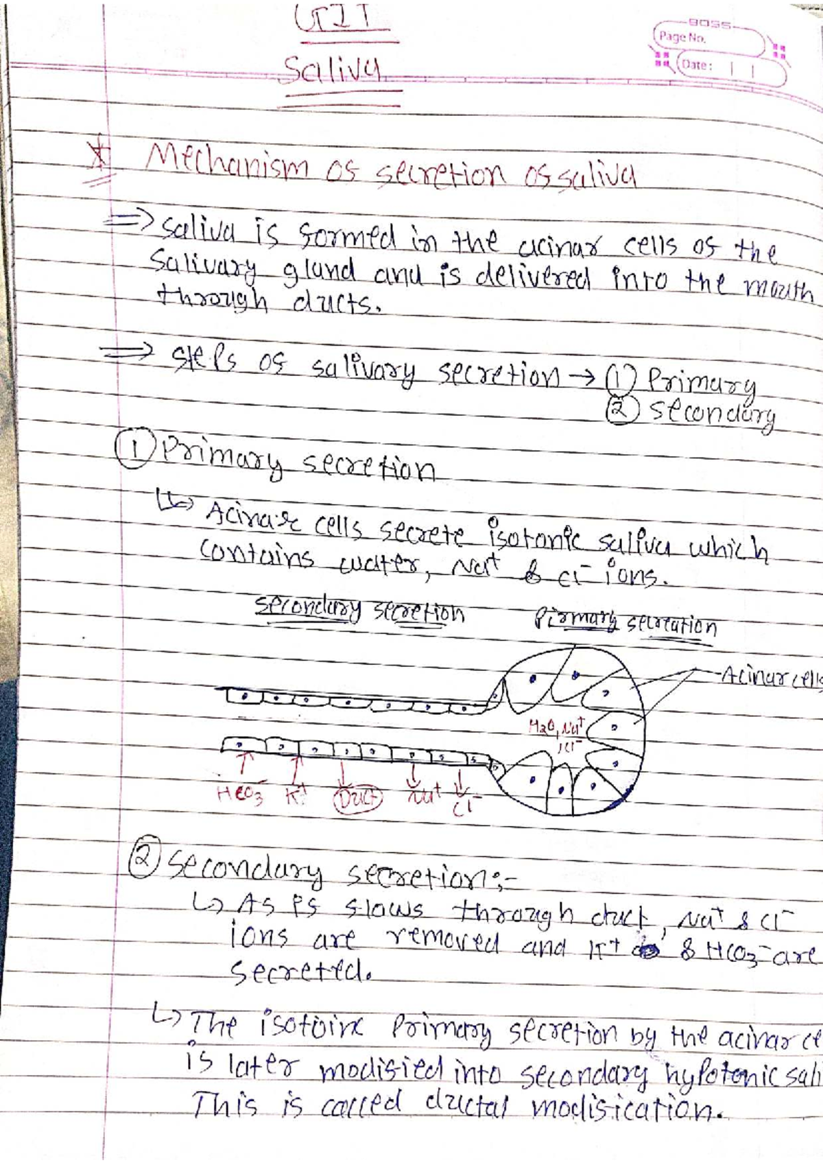 UTIT 3055 Lecture Notes: Mechanism and Functions of Saliva - Studocu