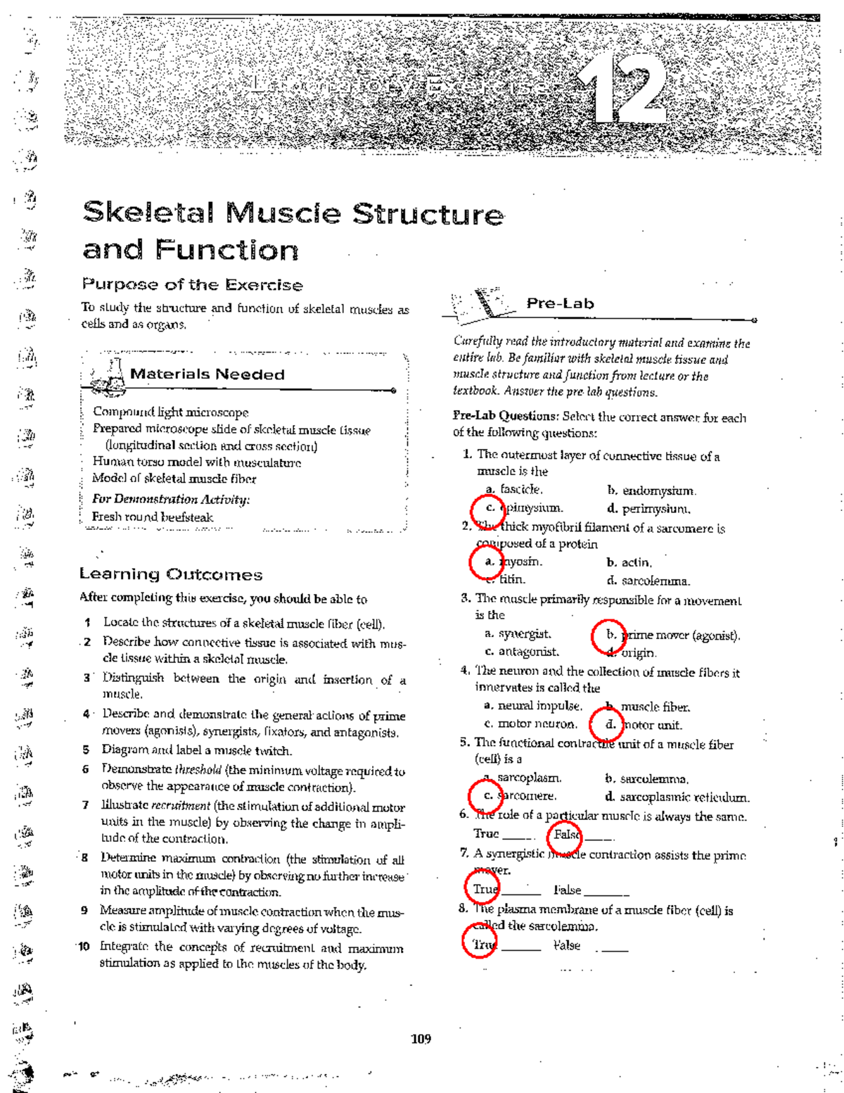Lab Report: Skeletal Muscle Structure & Function (BIO 101) - Studocu