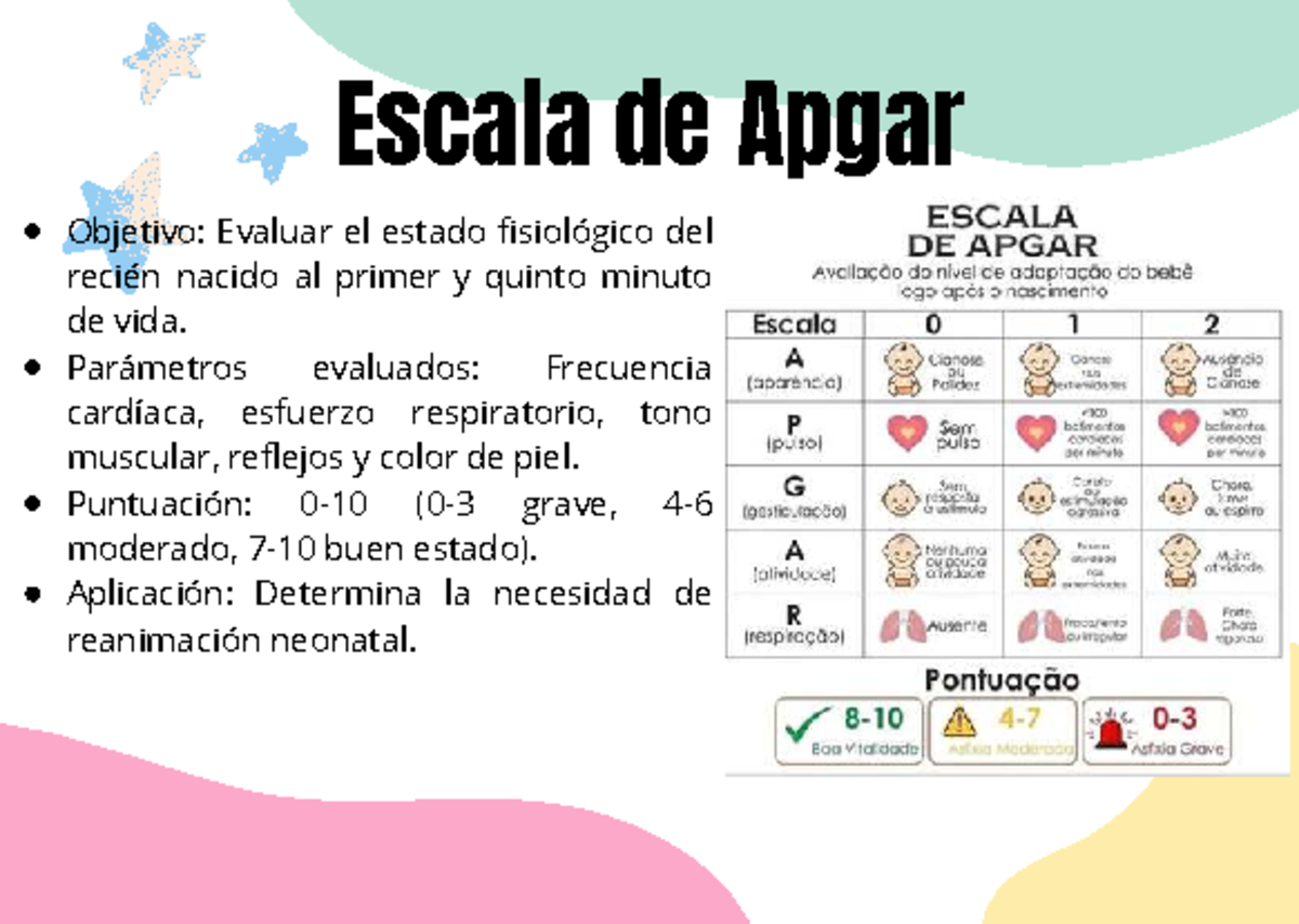 Escala de Apgar y Evaluación Neonatal: Guía Completa - Studocu
