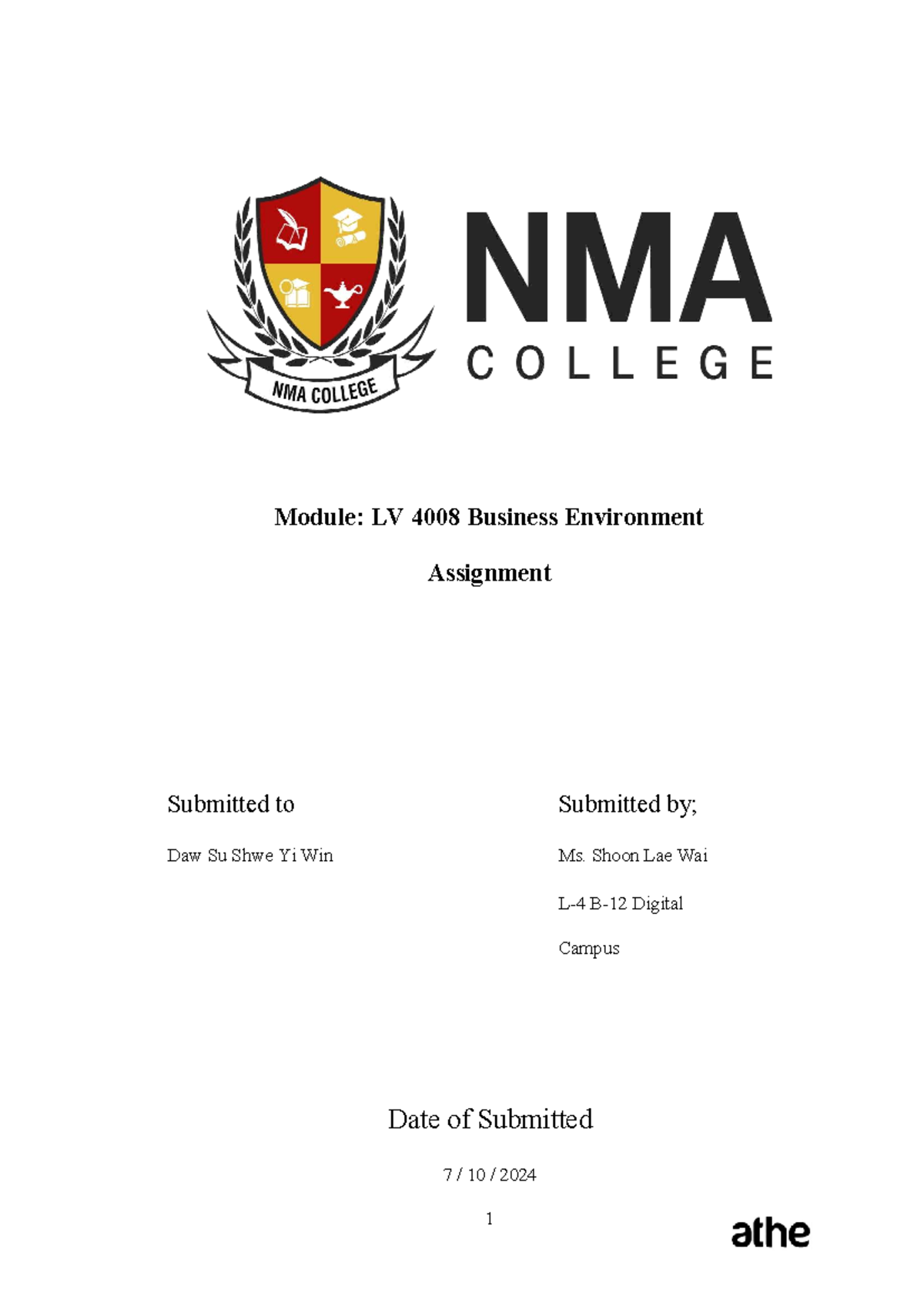 LV 4008 Business Environment Assignment: Organizational Structures ...