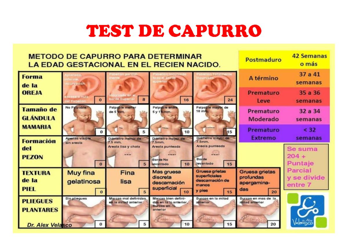 TEST DE CAPURRO: DISTOCIAS DEL PARTO Analysis and Insights - Studocu