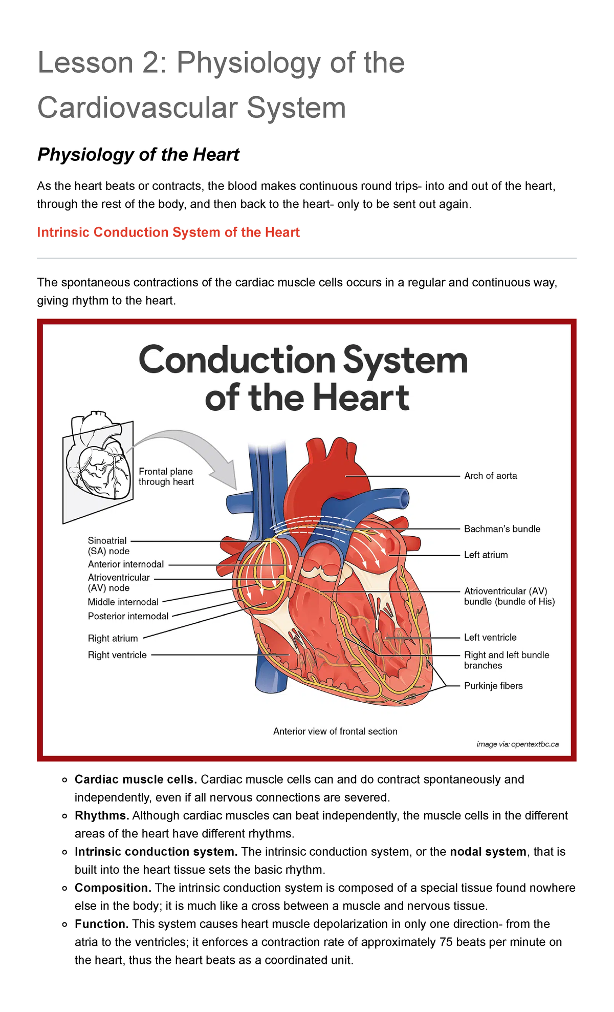 Lesson 2 Physiology of the Cardiovascular System Anatomy and Physiology ...
