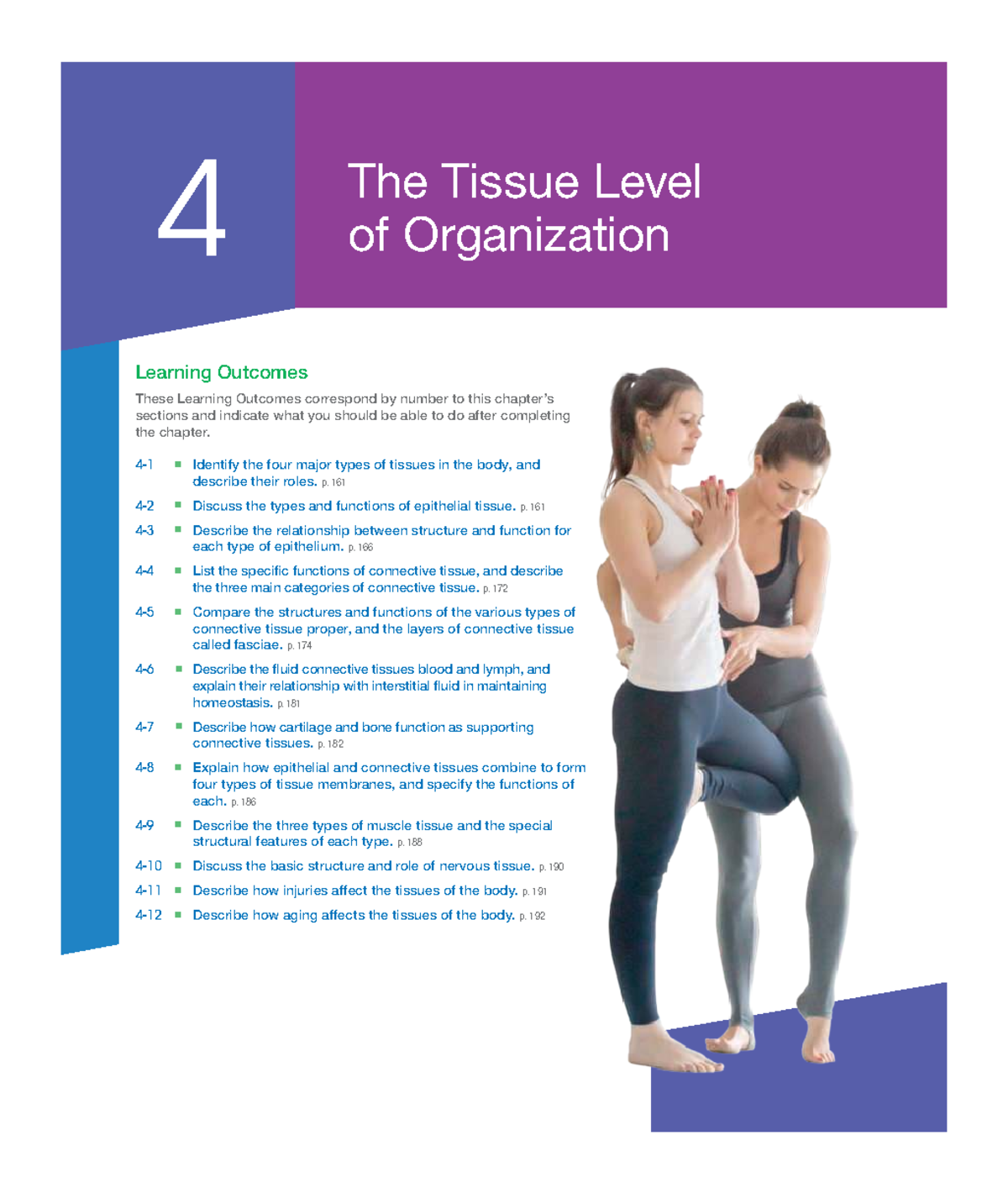 AP 4 Tissue Level: Understanding Structure and Function of Tissues - Studocu