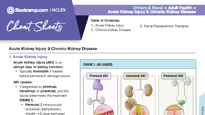 AKI & CKD Cheat Sheet: Key Concepts & Management Strategies - Studocu