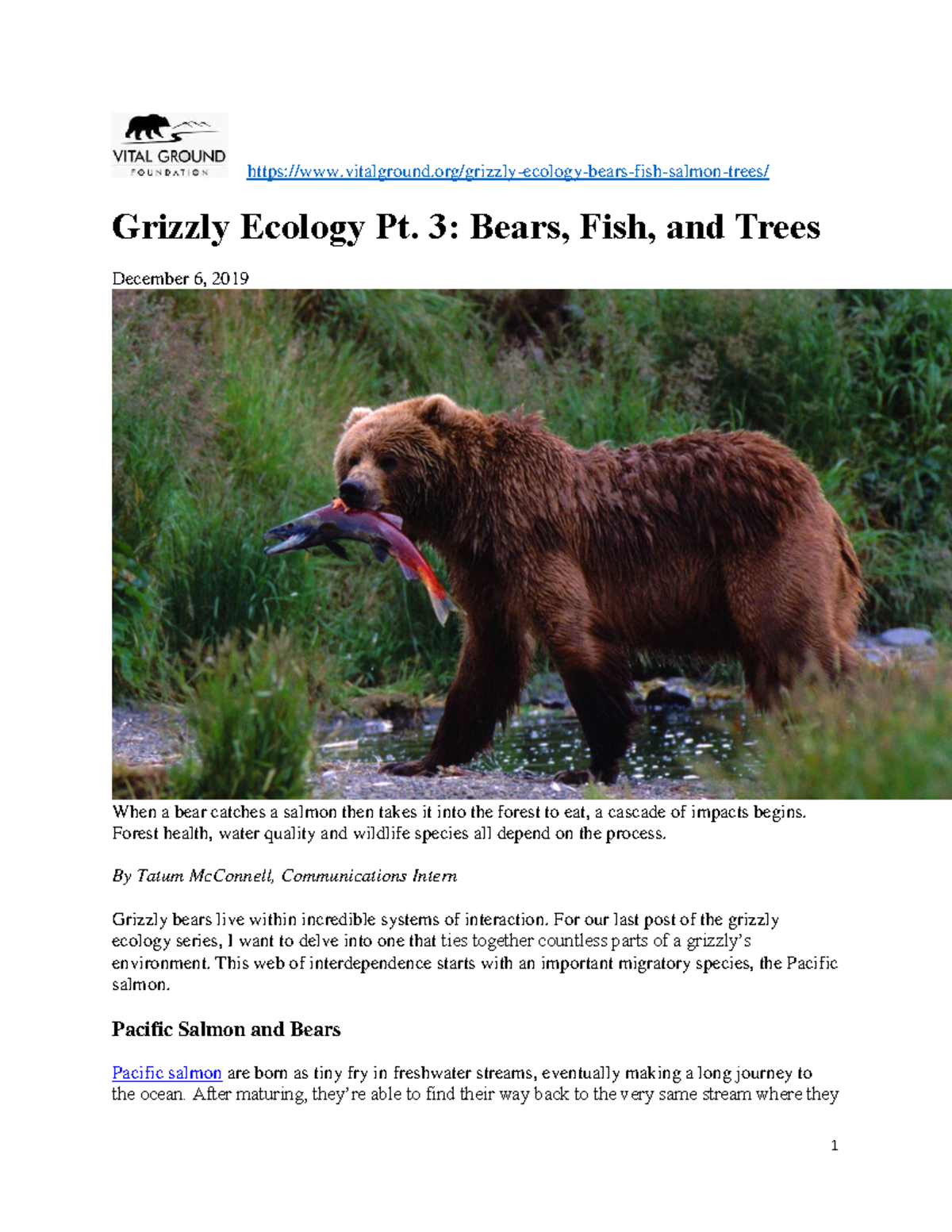 Grizzly Ecology Study: Bears, Salmon, and Forest Health Insights - Studocu