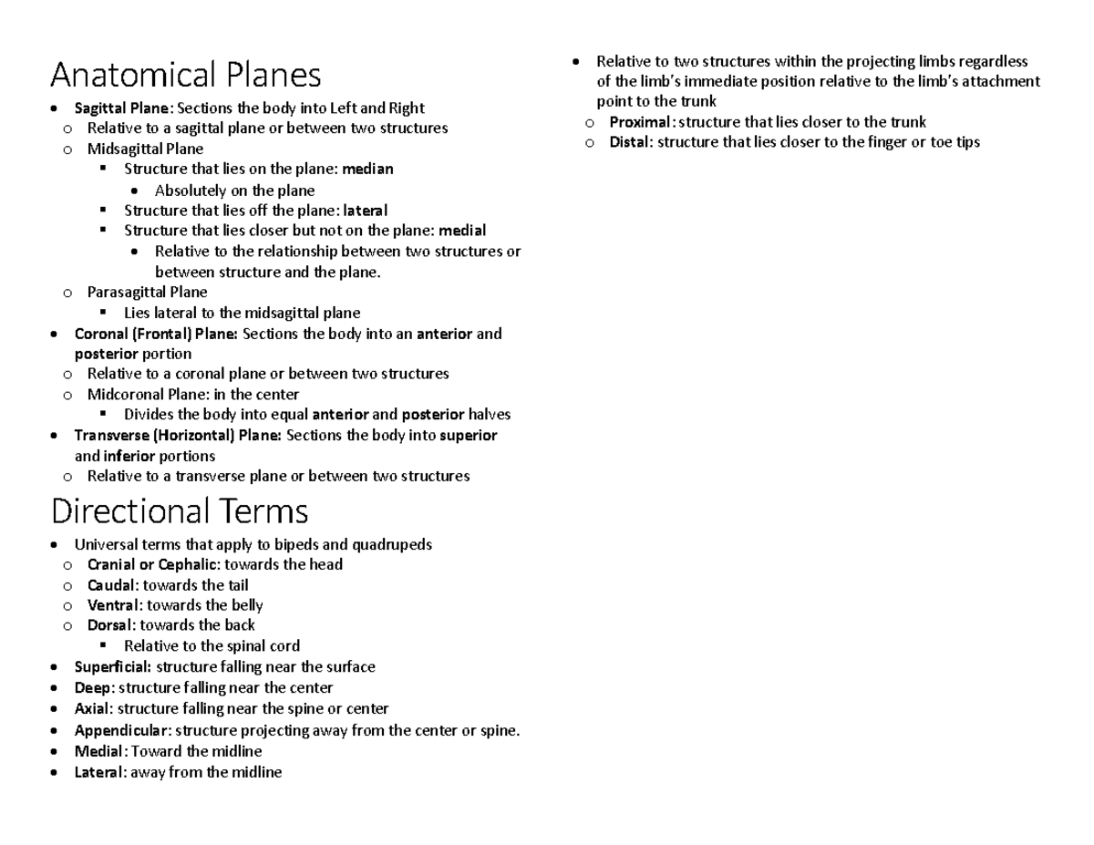 Intro to Anatomy - Anatomical Planes Sagittal Plane: Sections the body ...