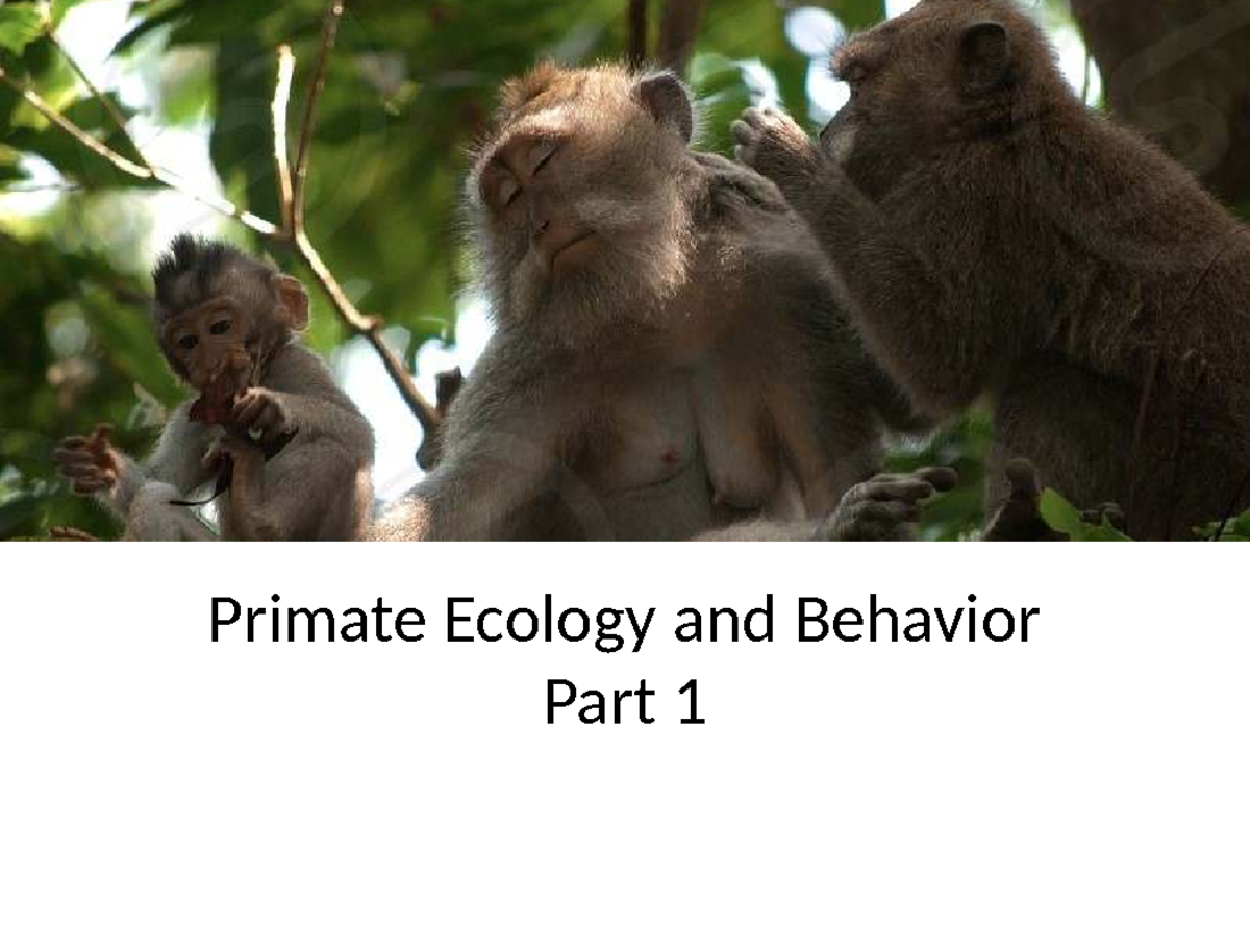 Primate Ecology And Behavior Course Code Locomotion Diet