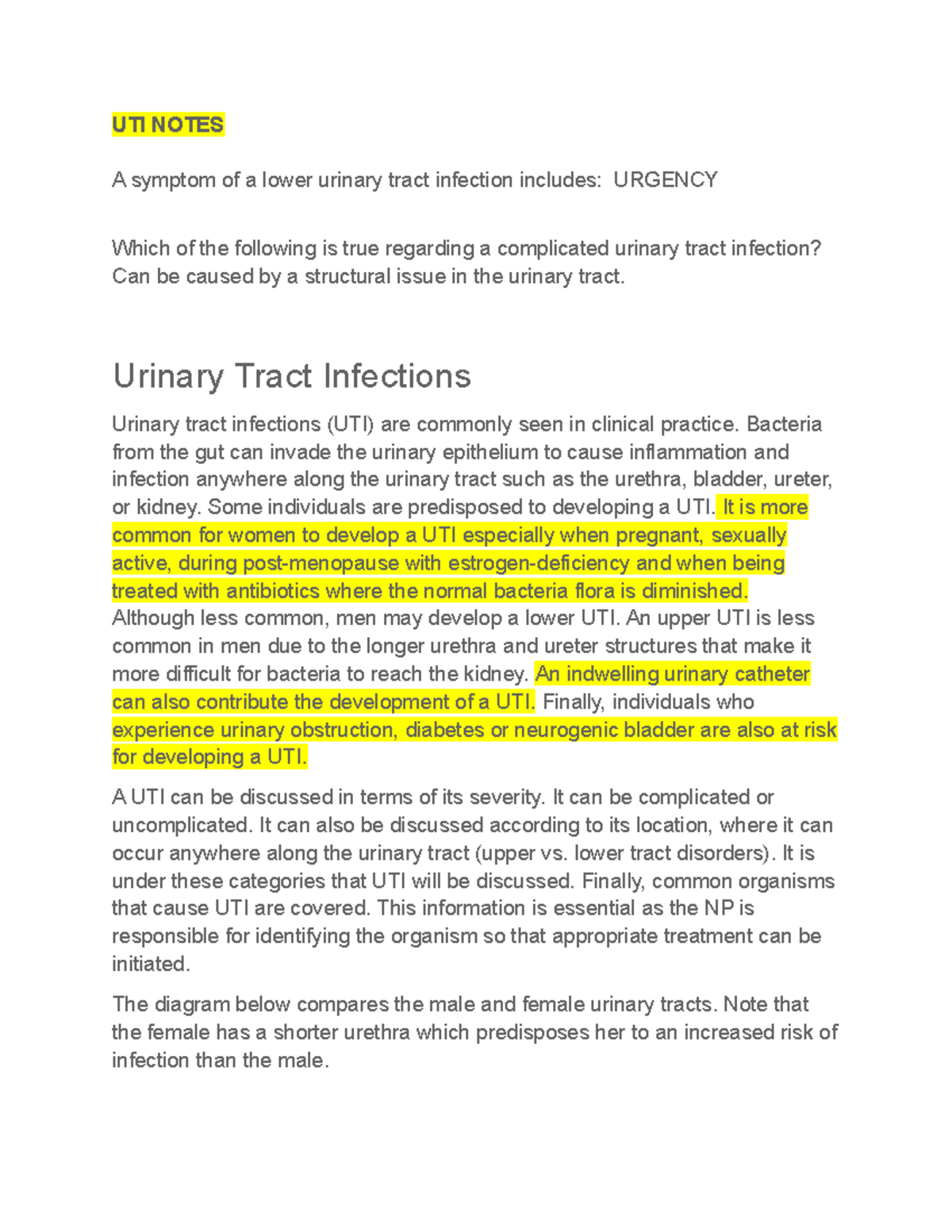NR 507 Urinary Tract Infection and Renal Calculi Notes - Studocu
