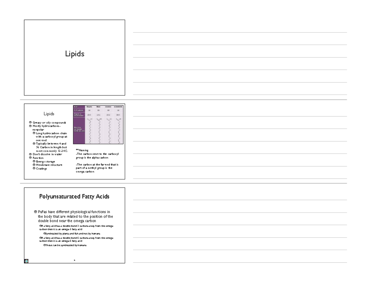 BIOL212 Lipids Lecture Notes: Structure, Function & Types - Studocu