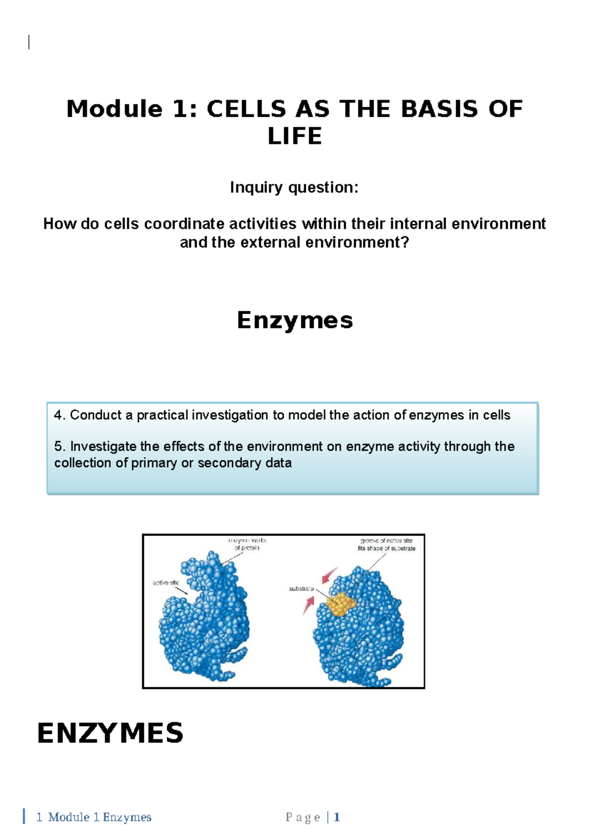 Module 1: Enzymes and Their Role in Cellular Activity (2021) - Studocu