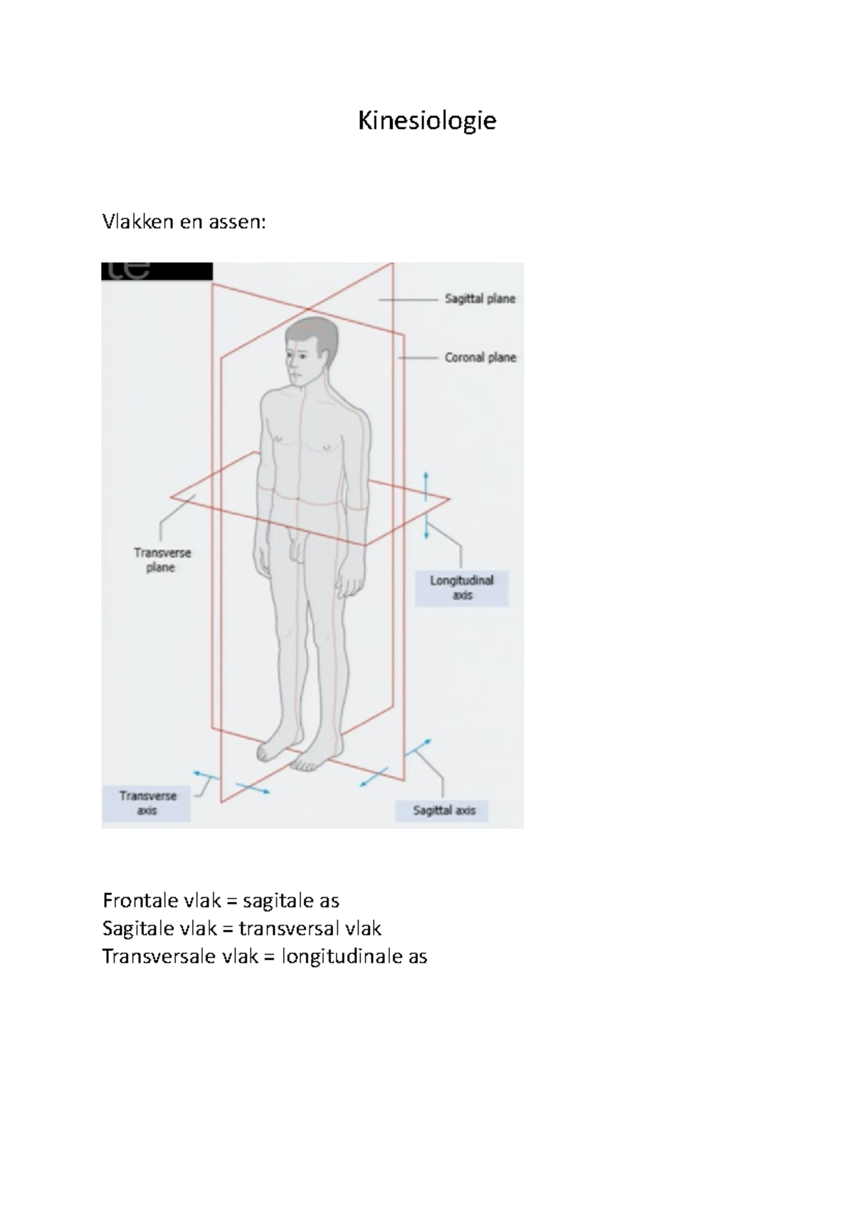 Kinesiologie: Anatomische Assen en Bewegingsvlakken in Detail - Studeersnel