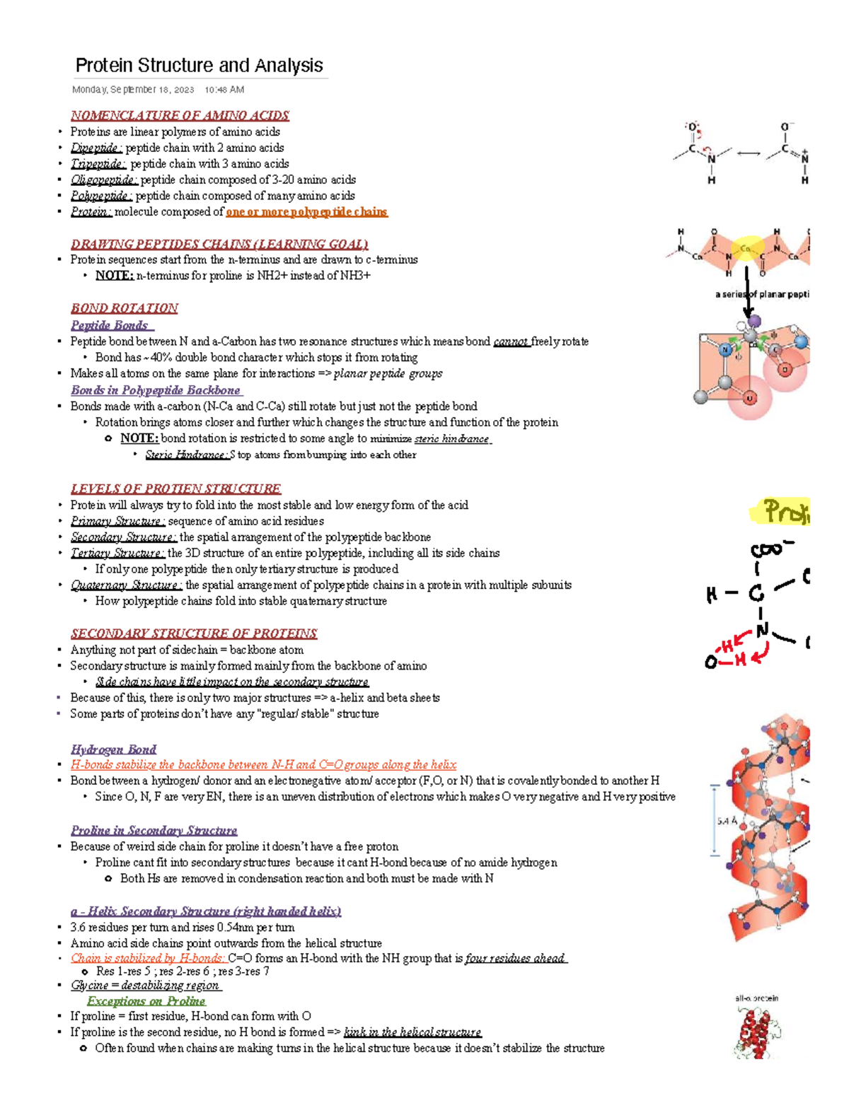 Protein Structure and Analysis Notes (Course Code: 7) - Studocu
