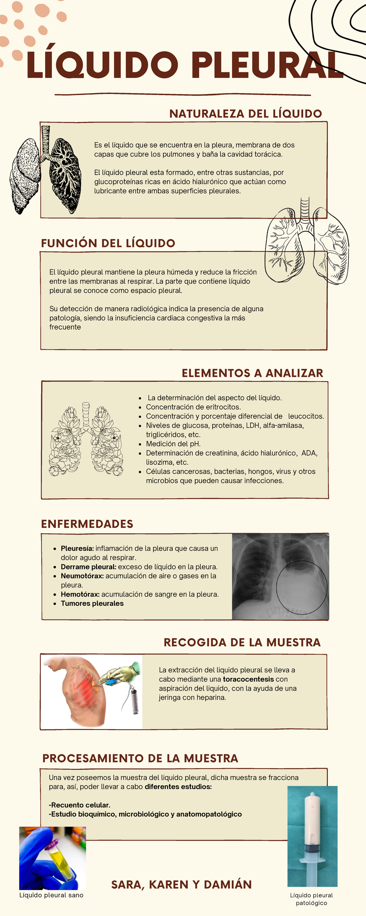 Análisis del Líquido Pleural: Composición, Función y Enfermedades - Studocu