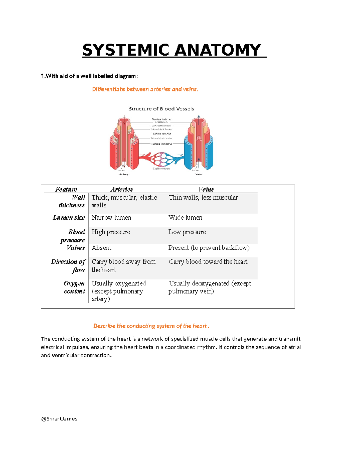 Systemic Anatomy Revision: Arteries, Veins, and Heart Conducting System ...