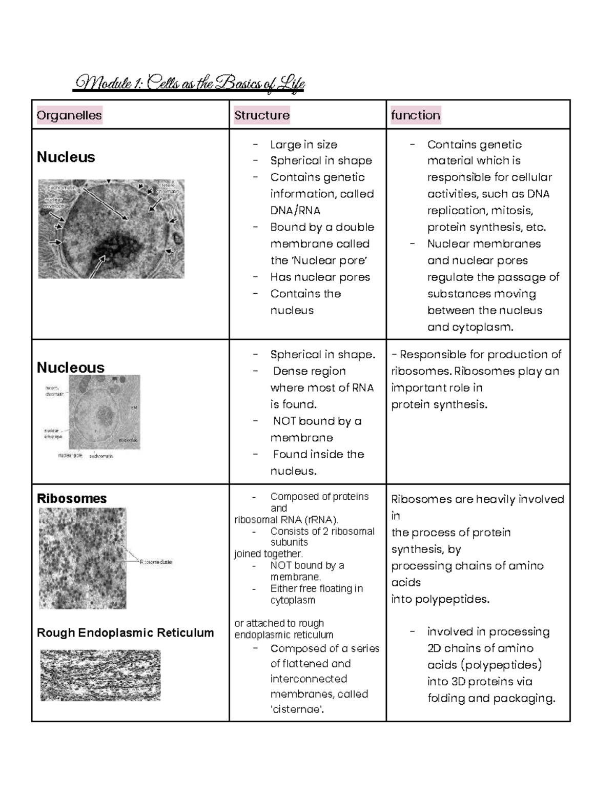 Biology Year 11 (Prelims): Module 1 - Cells and Organelles Overview ...
