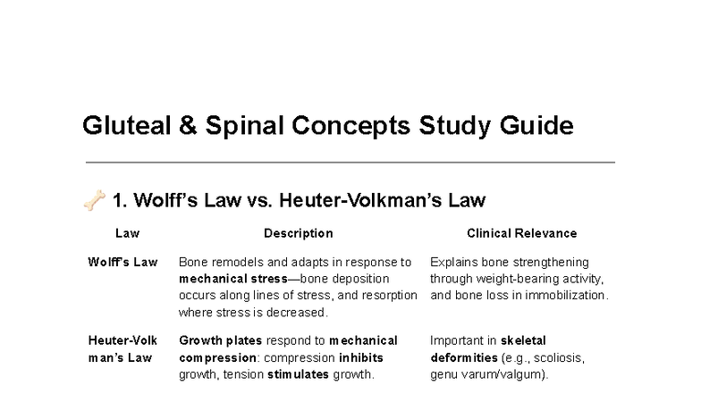 Gluteal and Spinal Concepts Study Guide: Quiz 9 Materials - Studocu