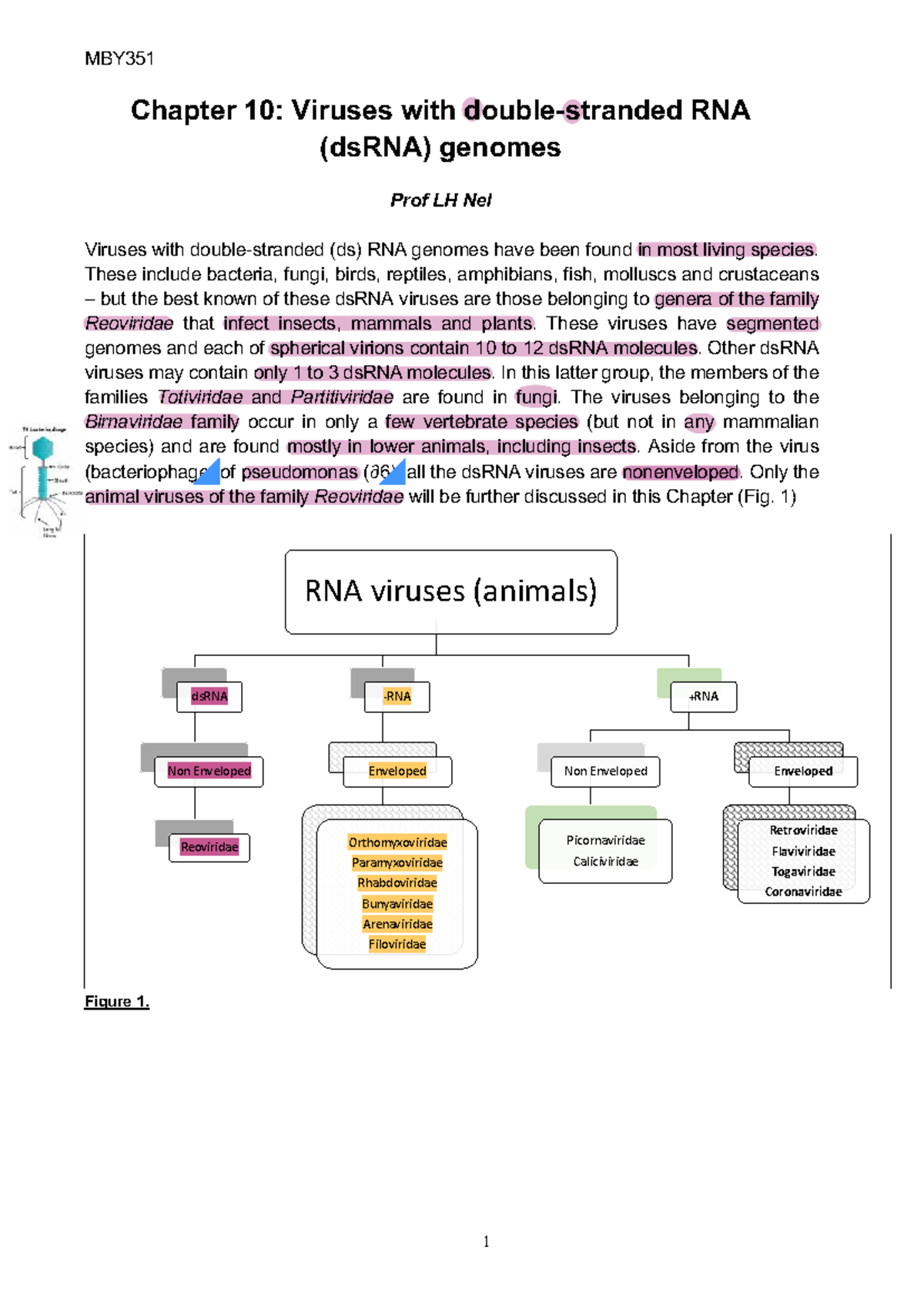 M351 Chapter 10: Double-Stranded RNA Viruses Overview - Studocu