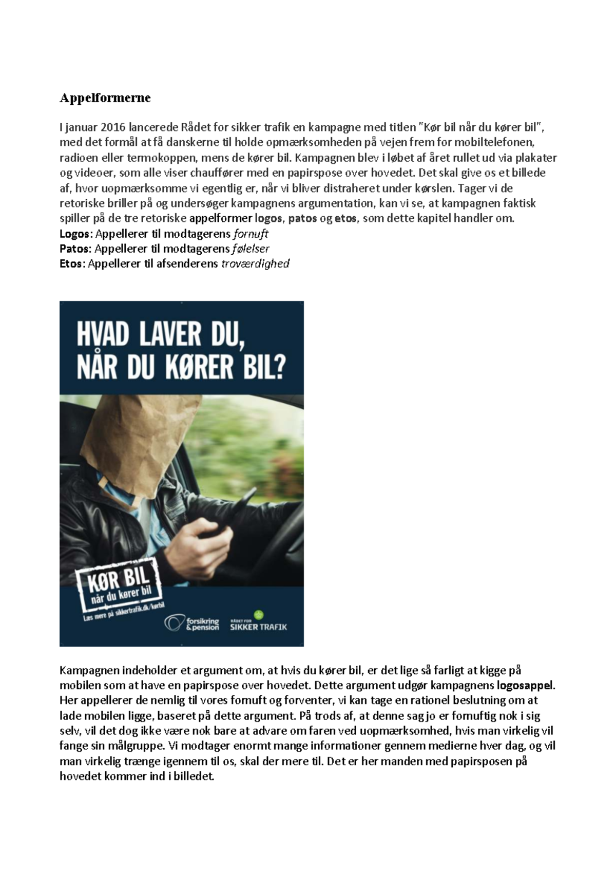Appelformerne i Retorik: Analyse af Kampagner og Argumentation 2023 ...