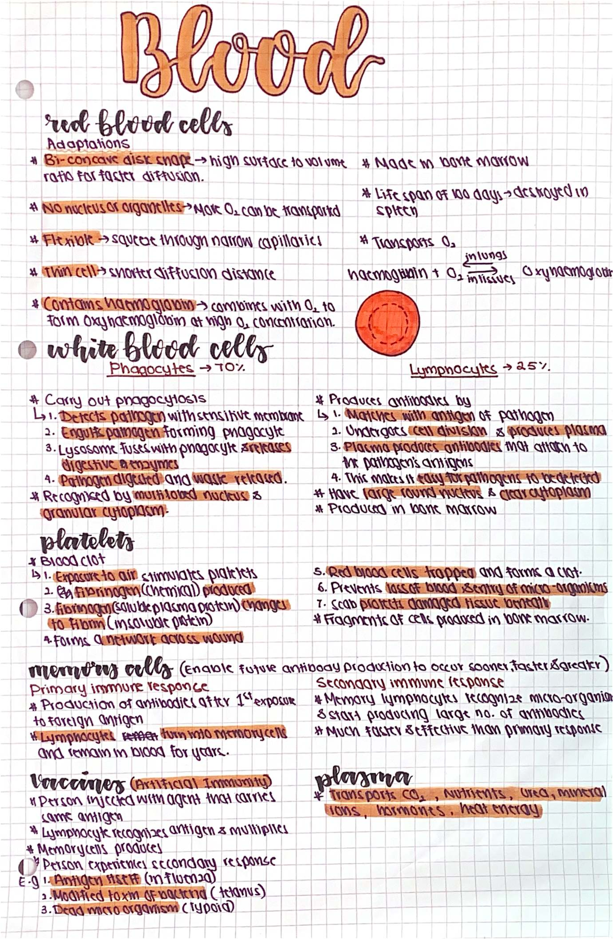 Blood - IGCSE Biology Topic 2: Red & White Blood Cells Functions and ...