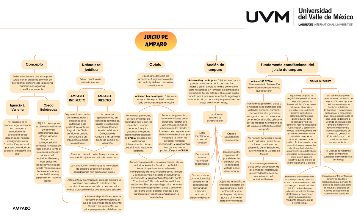 Juicio De Amparo Actividad 1 Mapa Conceptual Y Análisis Jurídico