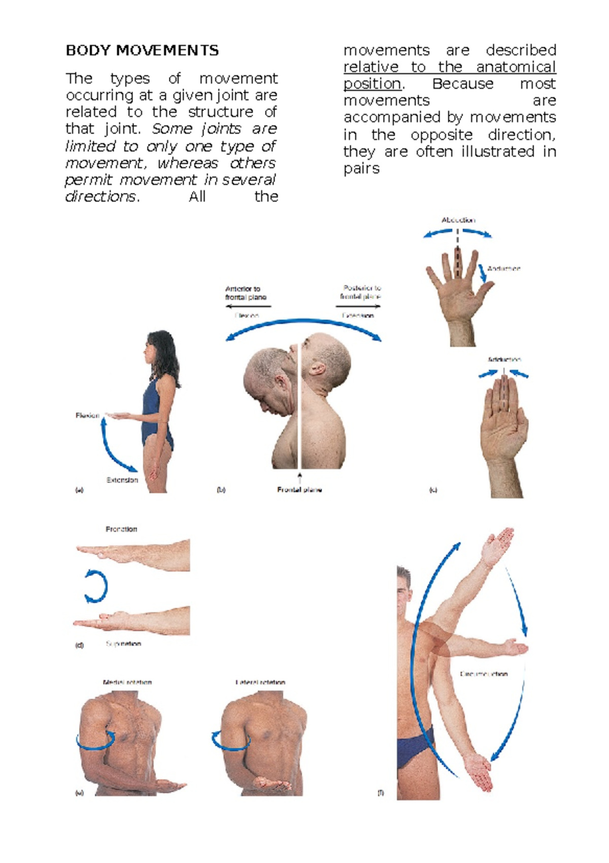Human Body Movement Types