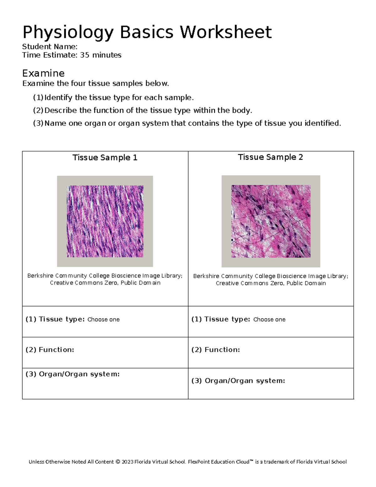 Physiology 103: Worksheet on Tissue Types and Functions - Studocu