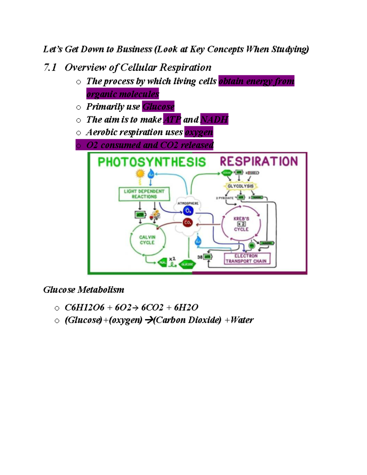 Lecture Notes on Cellular Respiration and Photosynthesis - Studocu
