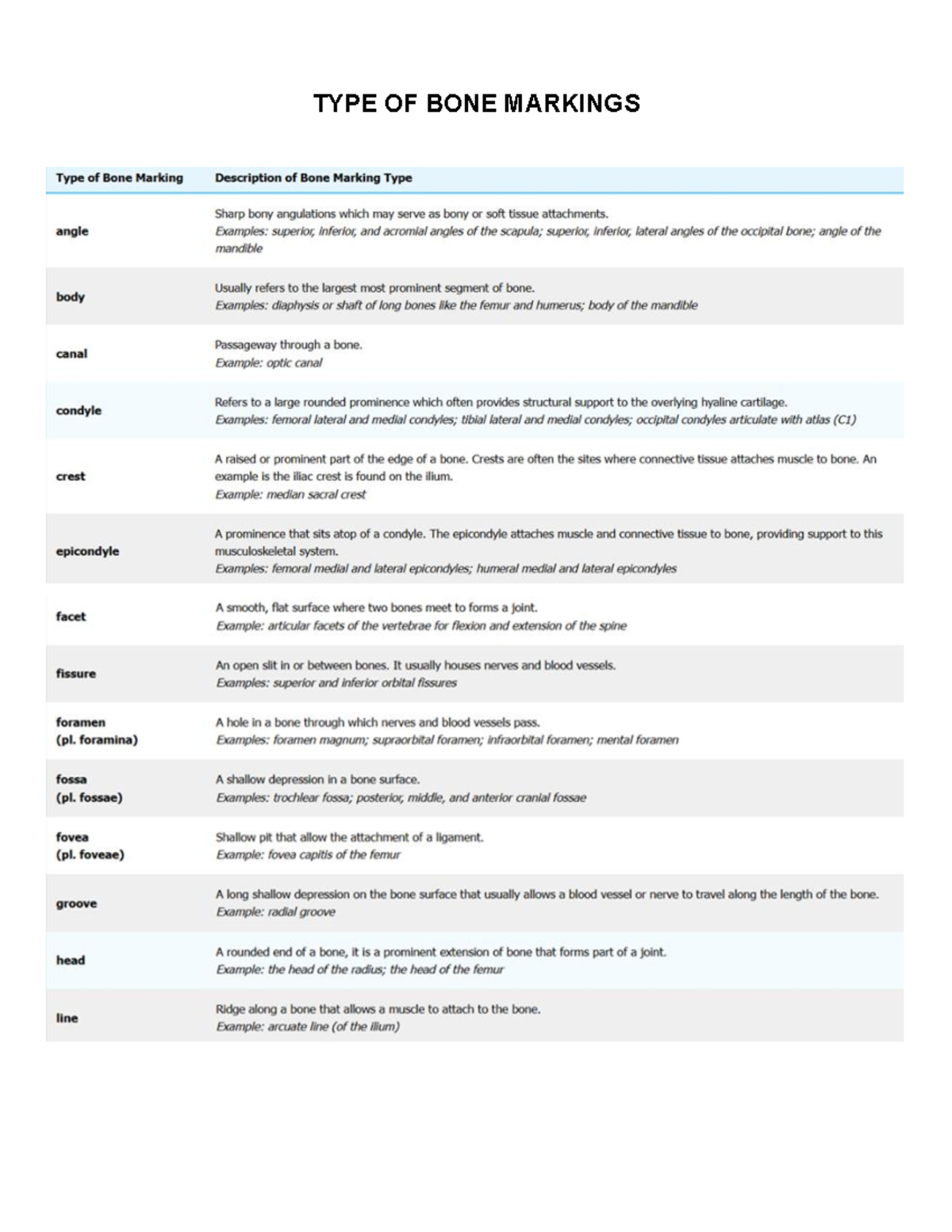 TYPE OF BONE Markings - TYPE OF BONE MARKINGS Type of Bone Marking Description of Bone Marking ...