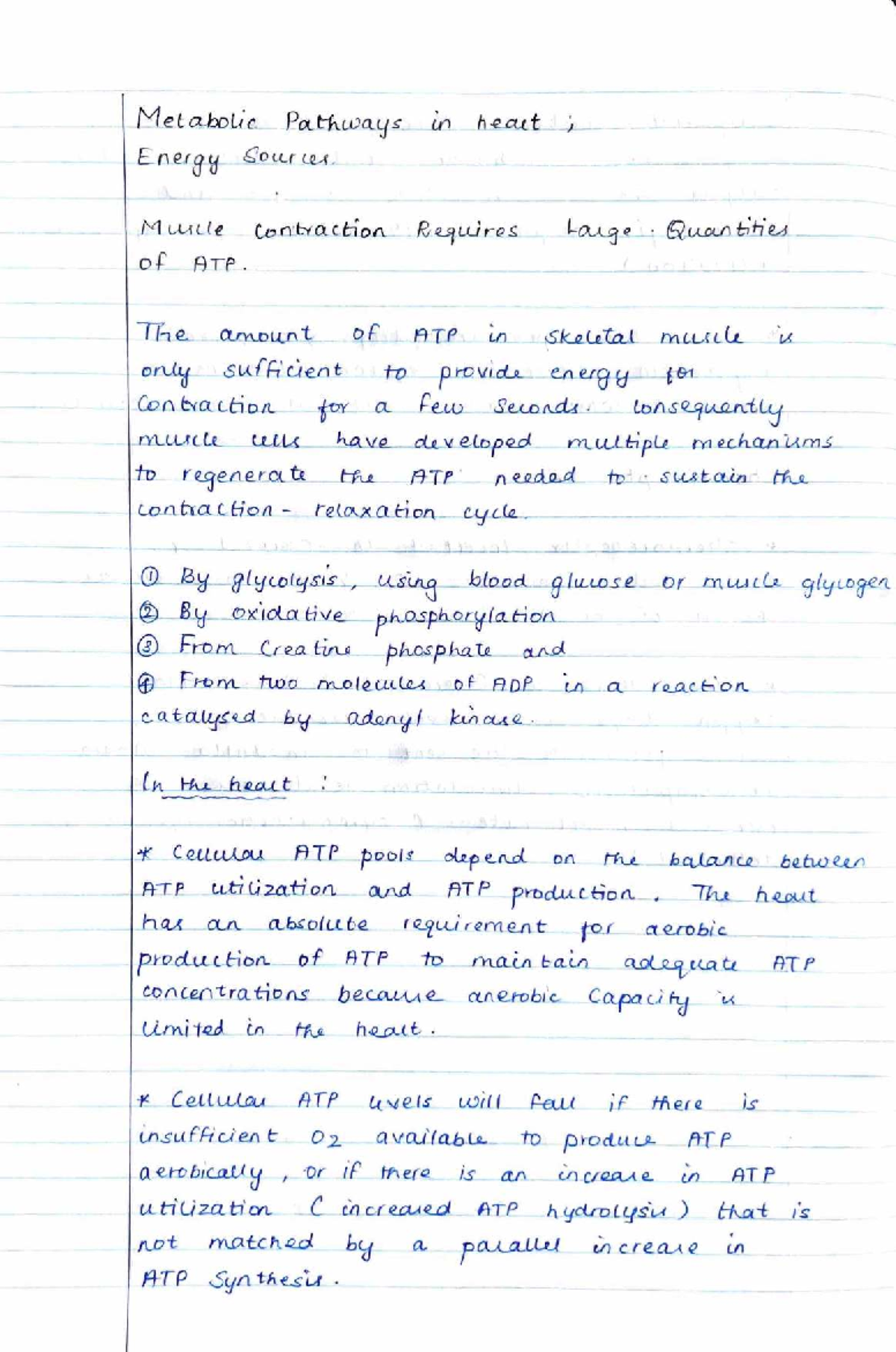 Metabolic Pathways and ATP Regeneration in Cardiac Muscle (Body ...