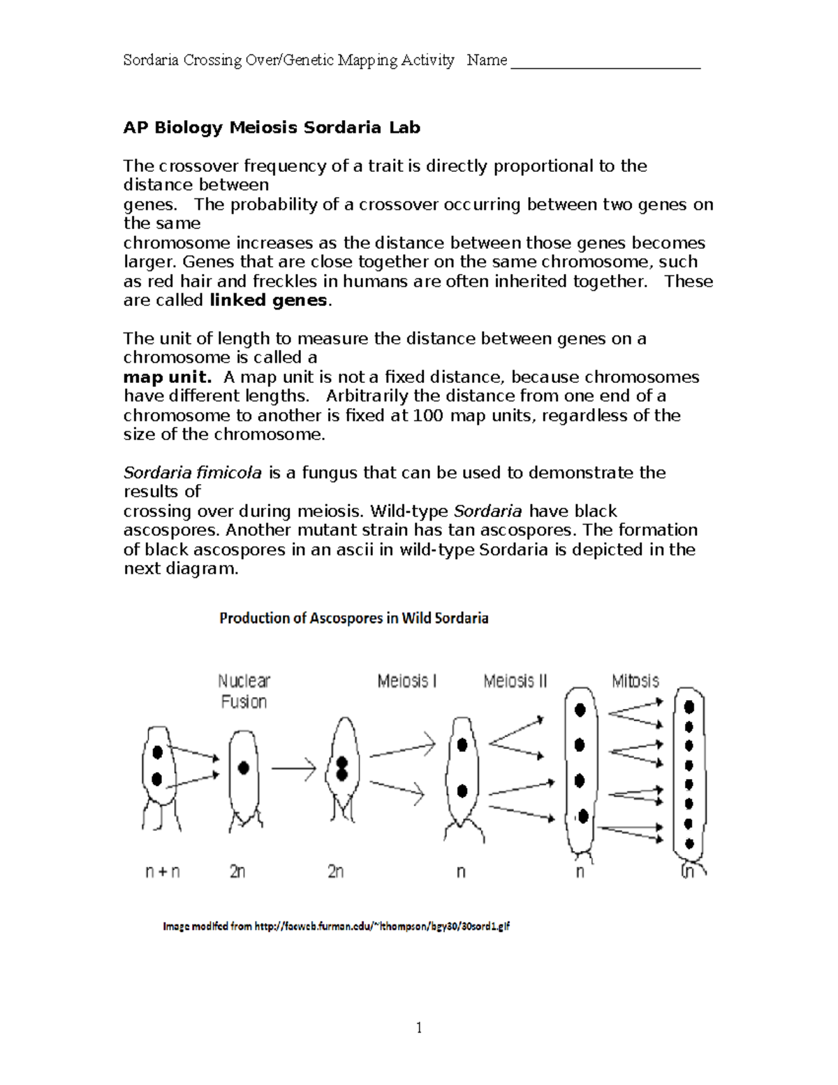 AP Biology Meiosis Sordaria Lab: Crossover Frequency Analysis - Studocu