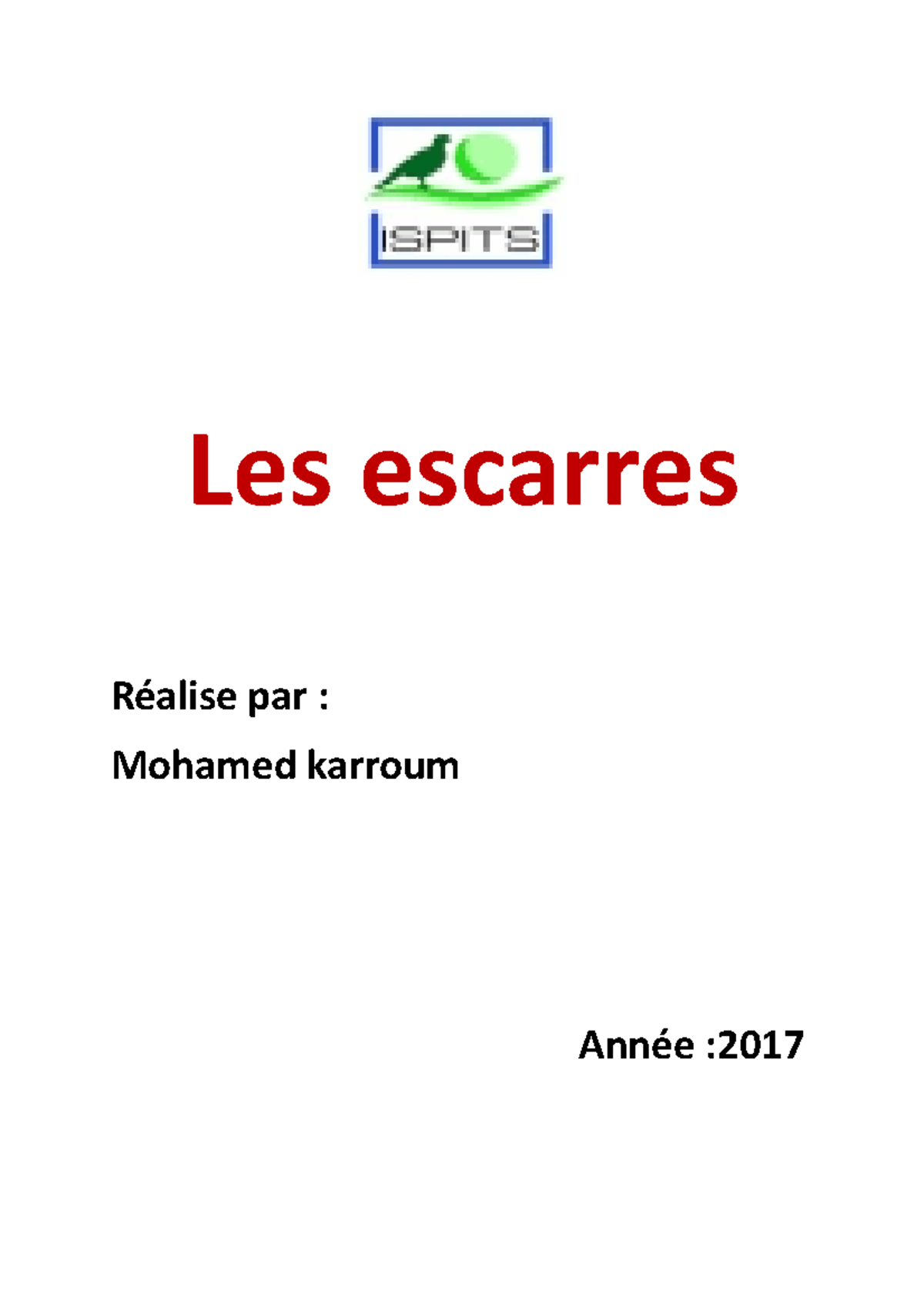 Cours sur les escarres : Définitions, Causes et Prévention - Studocu