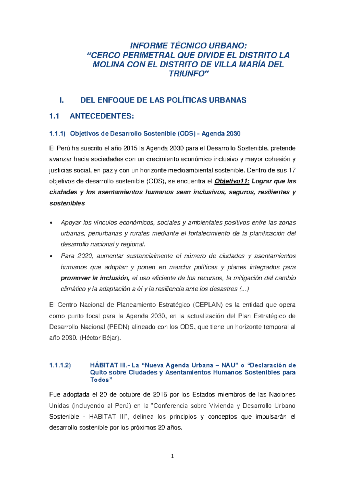 INFORME TÉCNICO: MURO DIVISORIO ENTRE LA MOLINA Y VILLA MARÍA DEL ...