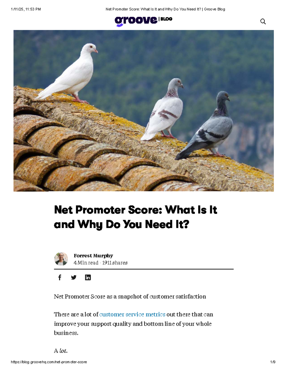 Net Promoter Score (NPS): Importance and Implementation Guide - Studocu