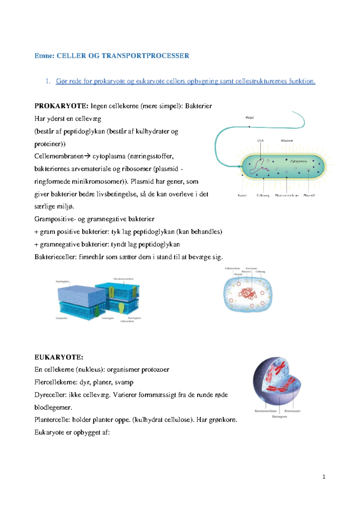 Gær og respiration: Temperaturens indflydelse på gærcellers stofskifte ...