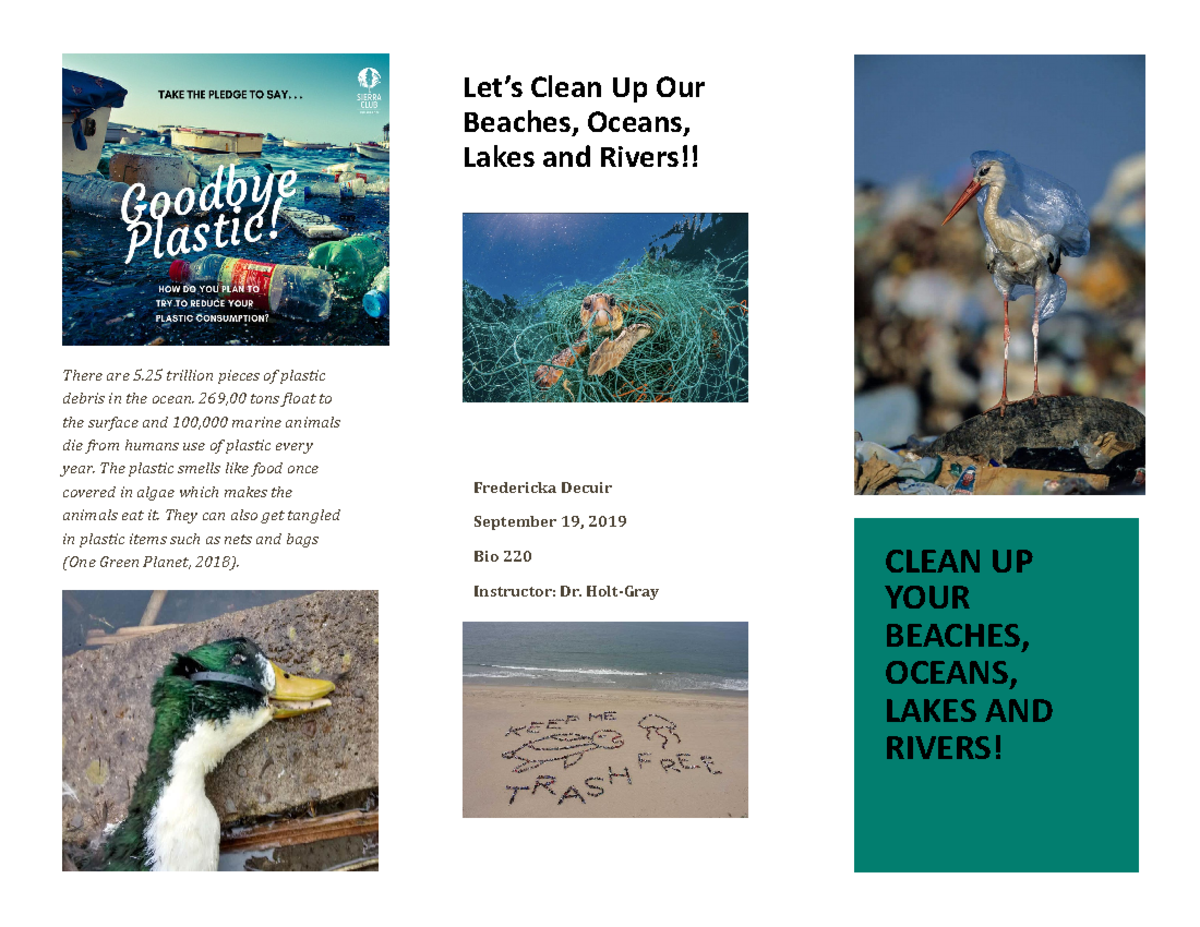 Bio 220 Lecture: Understanding Plastic Pollution and Cleanup Efforts ...